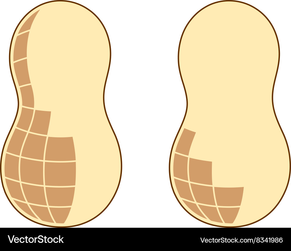 Peanuts Royalty Free Vector Image - VectorStock