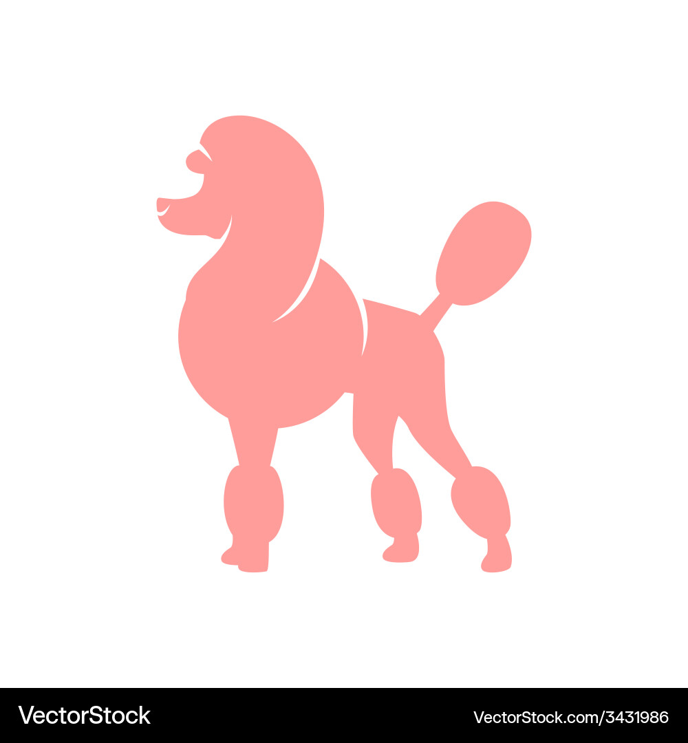 Cartoon Poodle Pink Vector Images (over 170)
