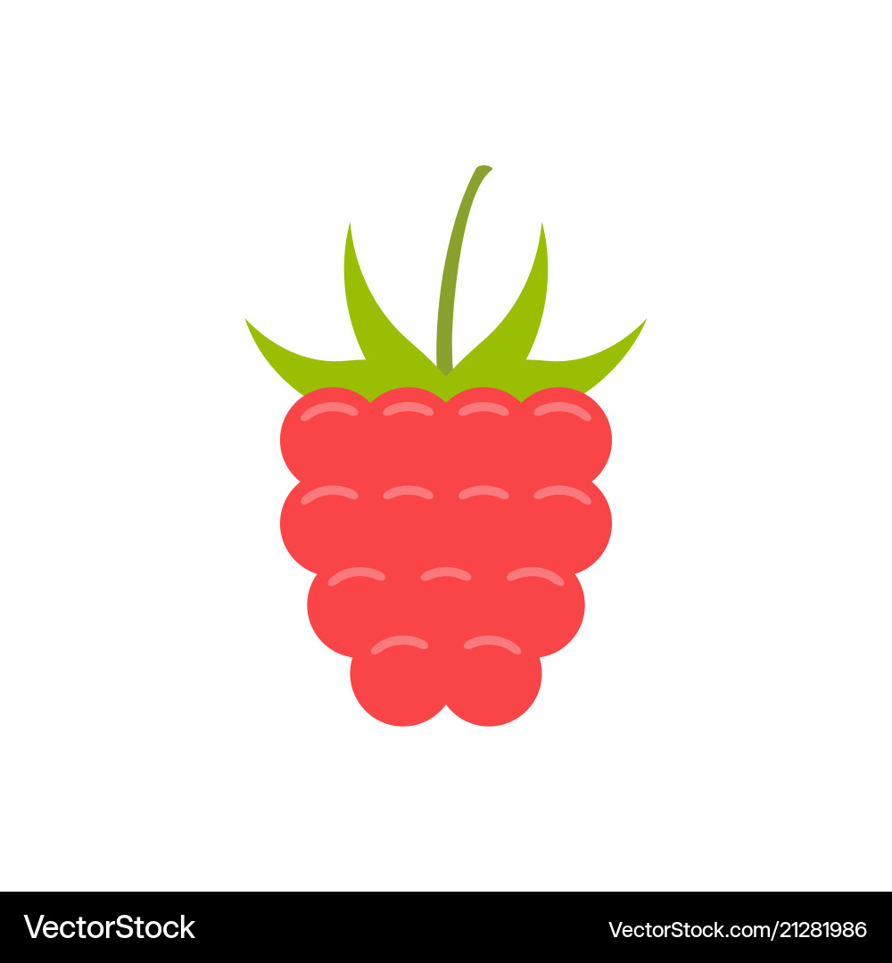 Raspberry Royalty Free Vector Image - VectorStock