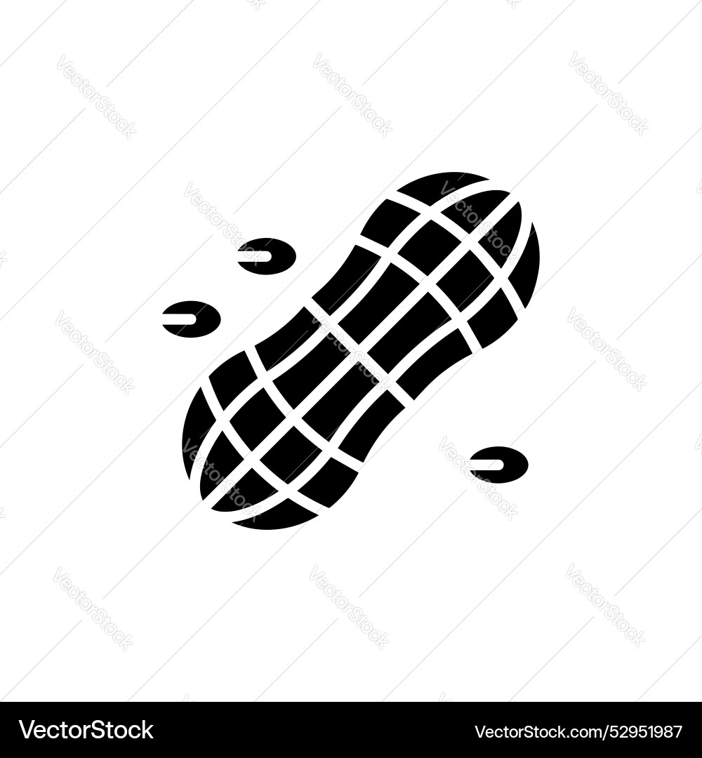 Peanut icon isolated on white background Vector Image