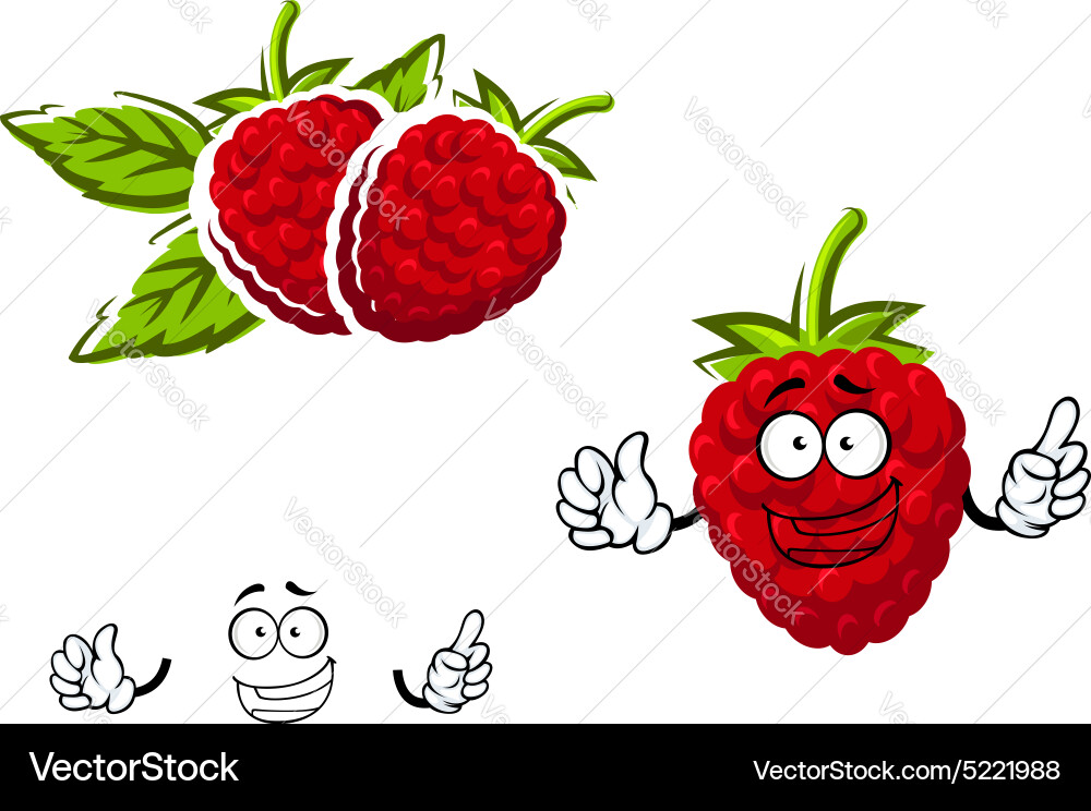 Cartoon red raspberry fruit character Royalty Free Vector