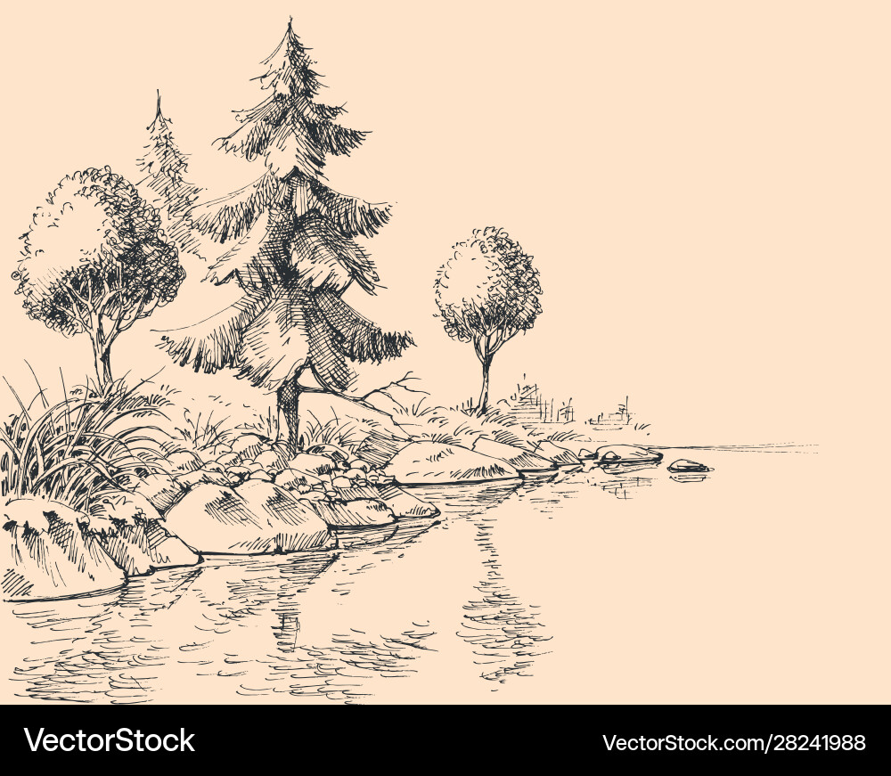 River flow hand drawing bank trees Royalty Free Vector Image