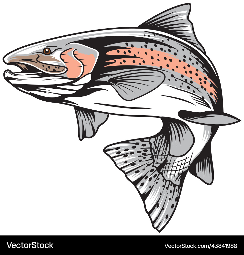 Trout fishing template Royalty Free Vector Image