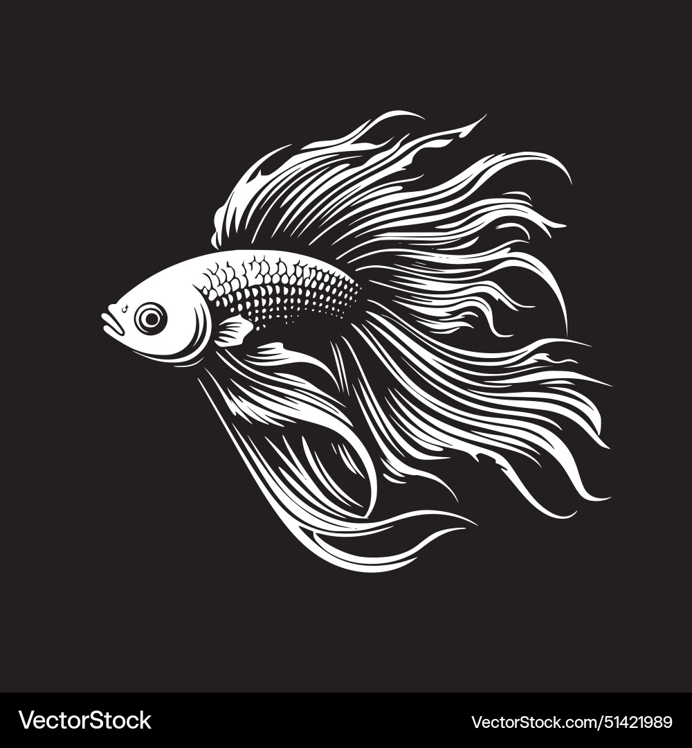Betta fish - black and white isolated icon Vector Image