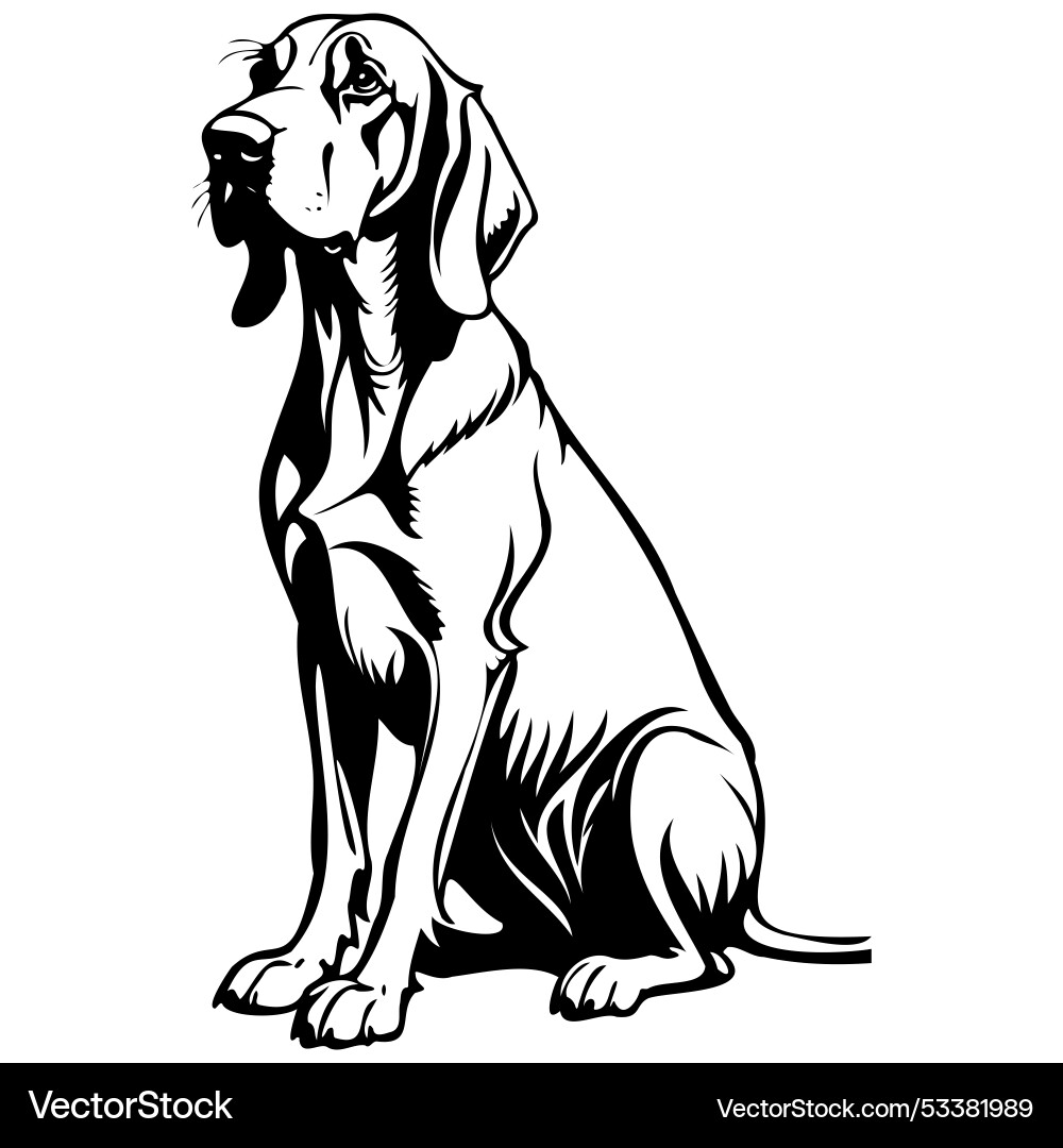 Isolated bloodhound sitting black hand drawn Vector Image