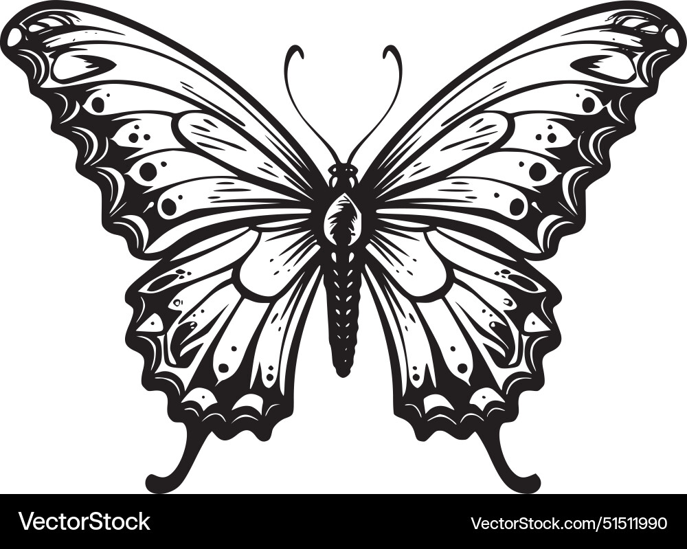Butterfly - black and white Royalty Free Vector Image