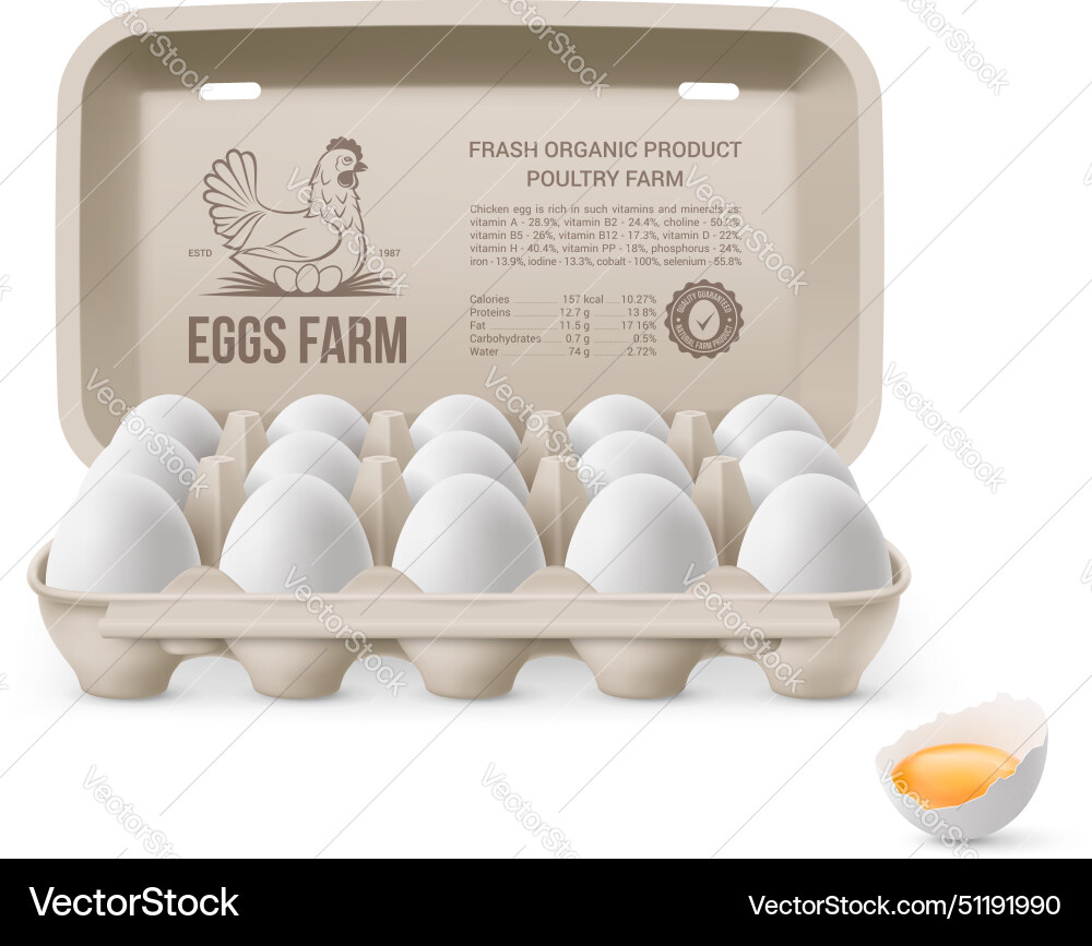 Chicken eggs Royalty Free Vector Image - VectorStock