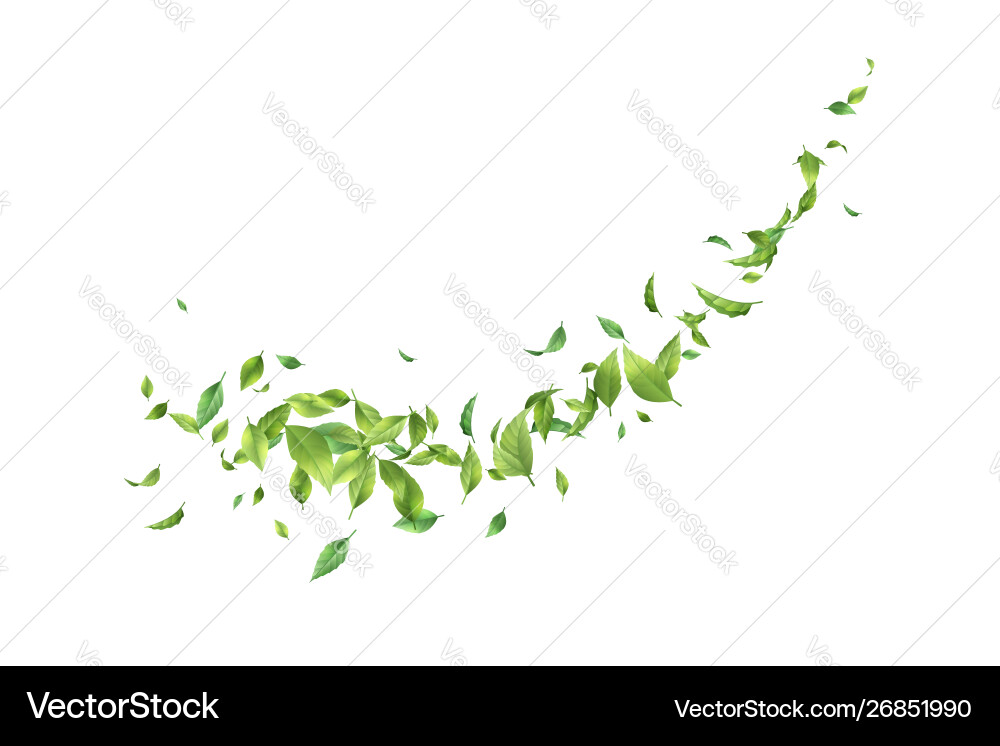 Greens leaf whirling in wind Royalty Free Vector Image