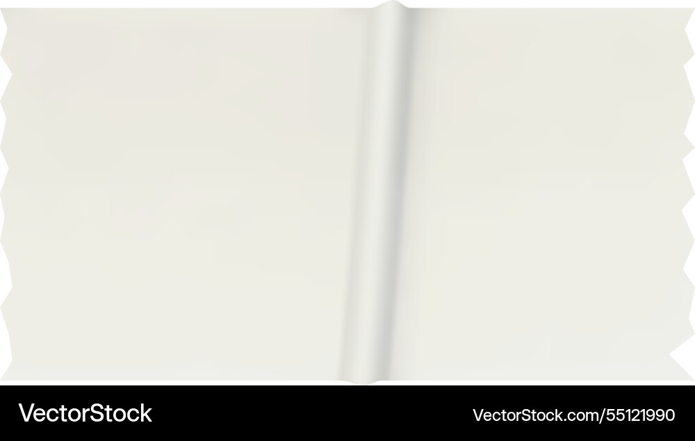 Realistic white adhesive tape featuring ripped Vector Image