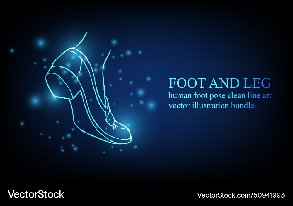 Human foot line and leg knee toe digital Vector Image