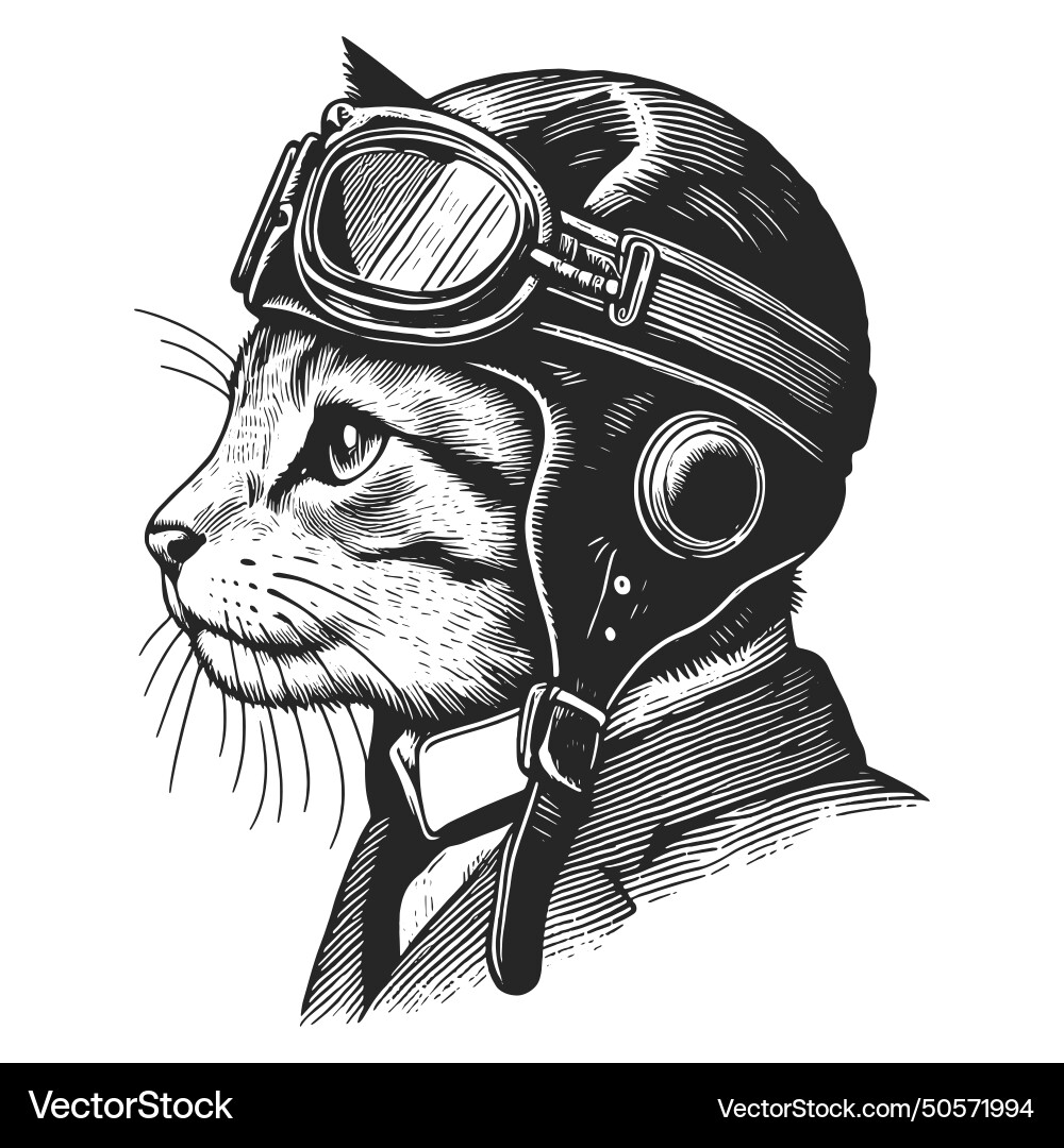 Cat in pilot gear vintage sketch Royalty Free Vector Image