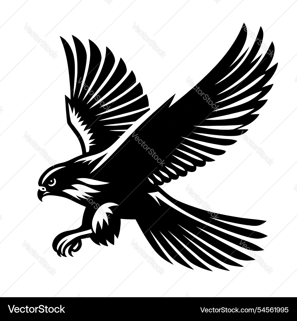 Aggressive Hawk Vector Images (over 1,300)