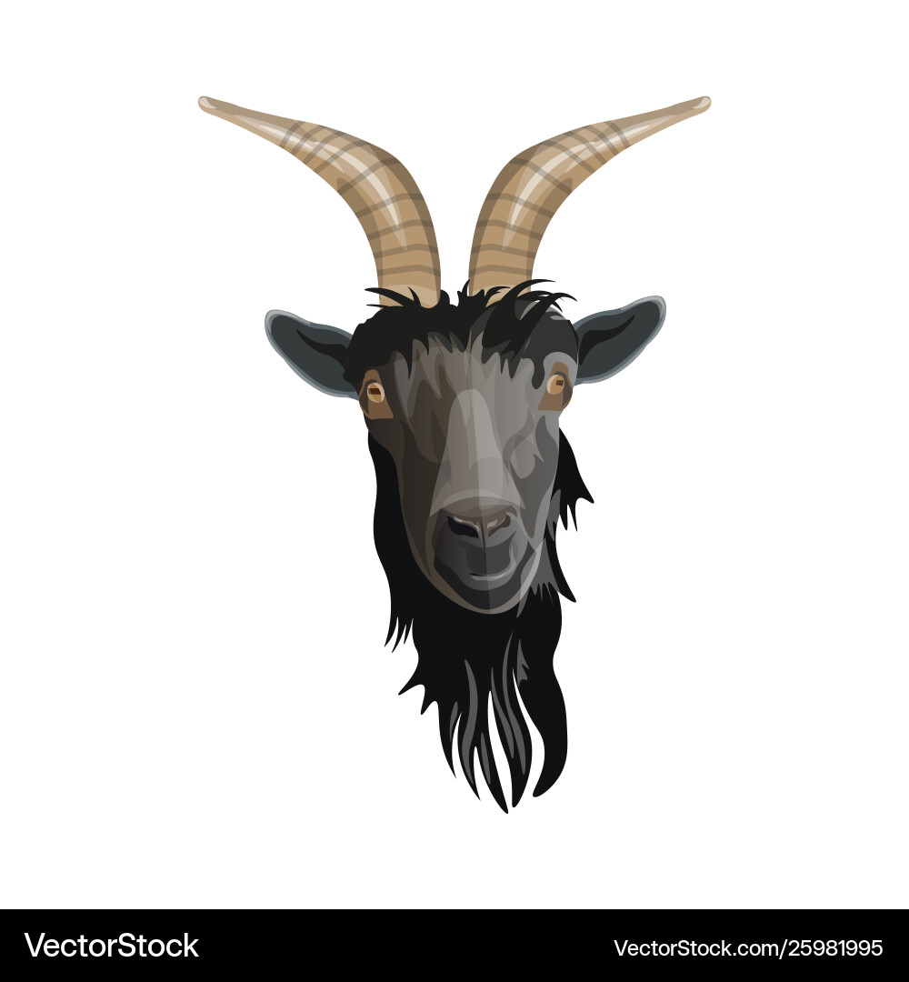 Goat head portrait Royalty Free Vector Image - VectorStock