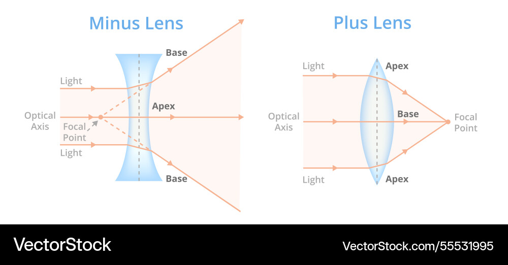 Minus lens and plus convex concave Royalty Free Vector Image