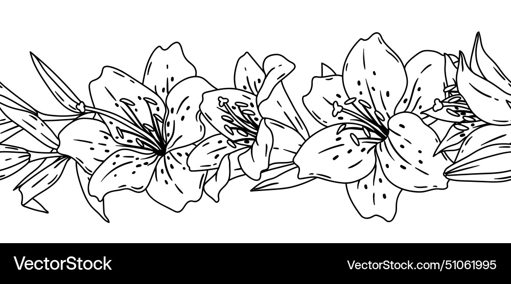 Pattern with lilies flowers beautiful decorative Vector Image