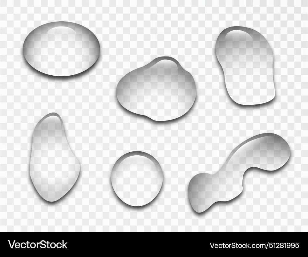 Realistic drops on an isolated transparent Vector Image
