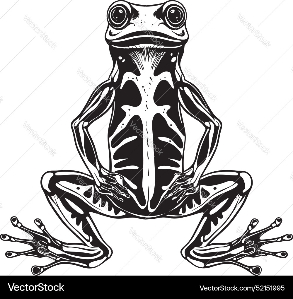 Spectral symphony frog skeleton logo emblem Vector Image