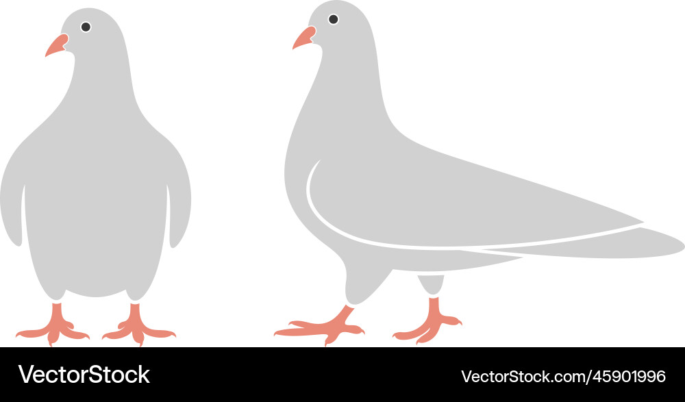 Dove Royalty Free Vector Image - VectorStock
