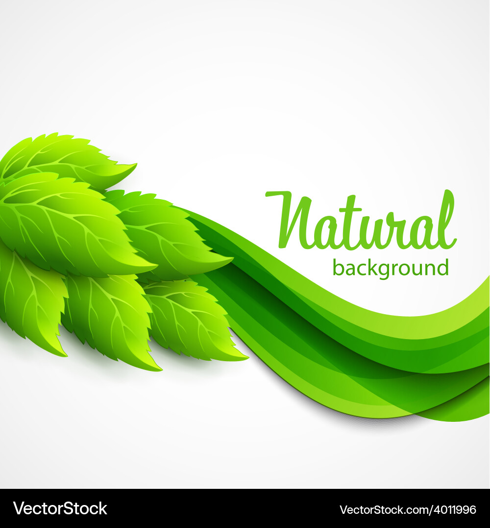 Natural background with green spring leaves Vector Image