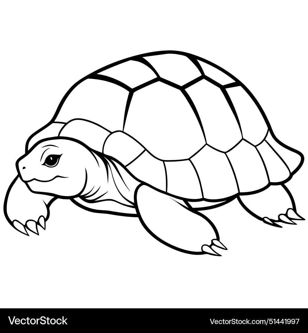 Angulate tortoise turtle rests icon Royalty Free Vector