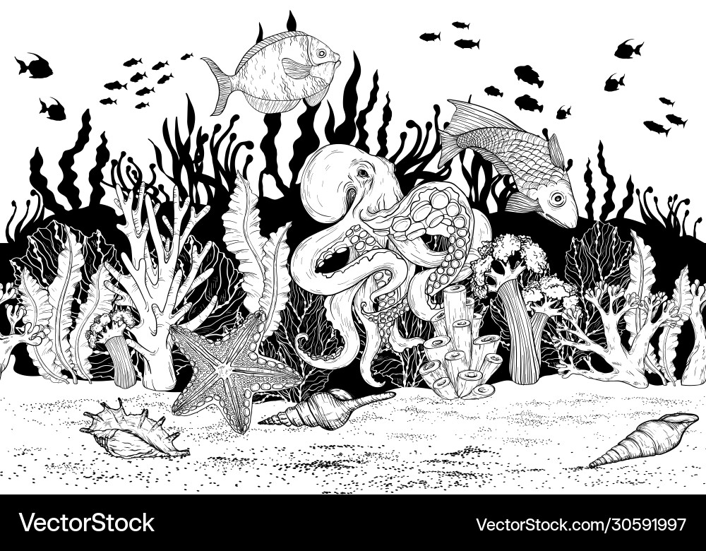 Seamless pattern with hand drawn sea coral reef Vector Image