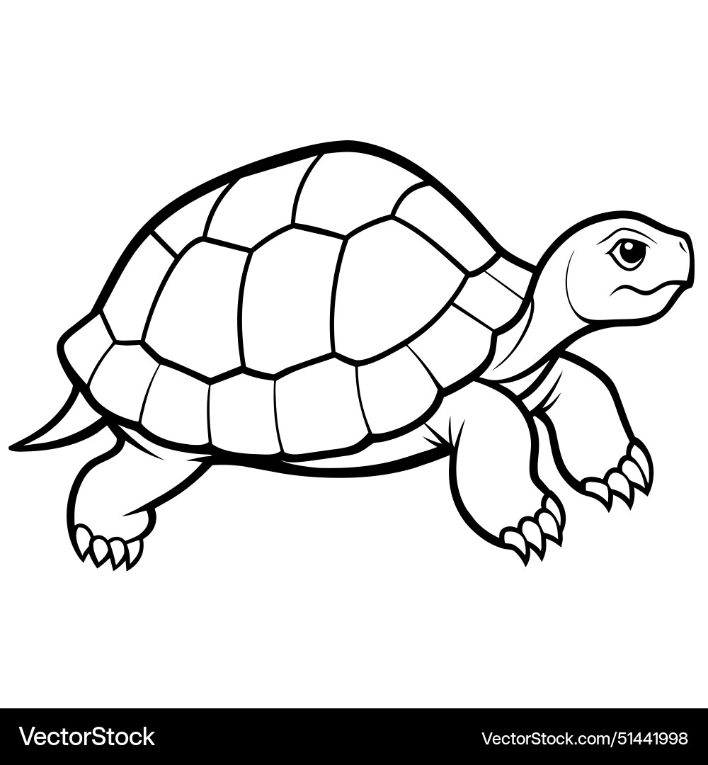 Angulate tortoise turtle runs icon Royalty Free Vector Image