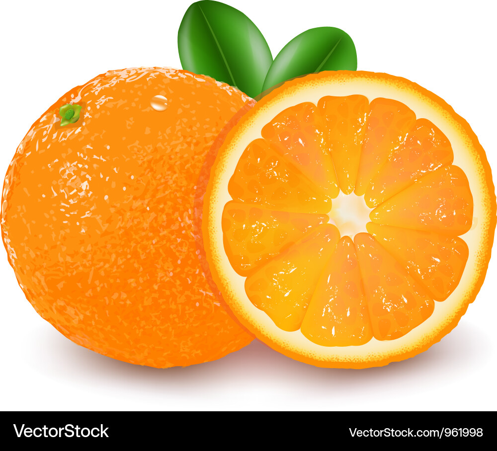 Orange background Royalty Free Vector Image - VectorStock
