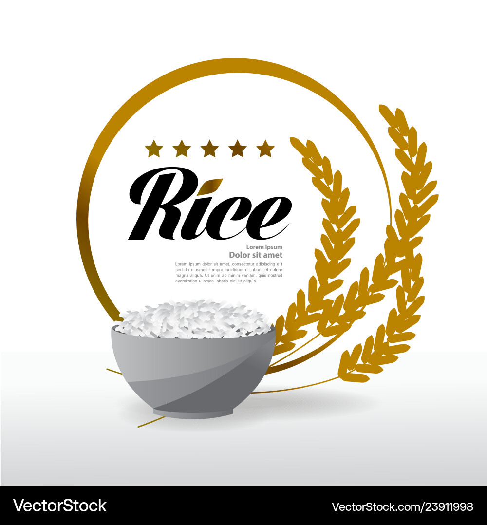 Premium rice great quality design concept Vector Image