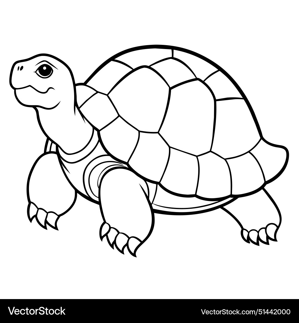 Angulate tortoise turtle sits icon Royalty Free Vector Image