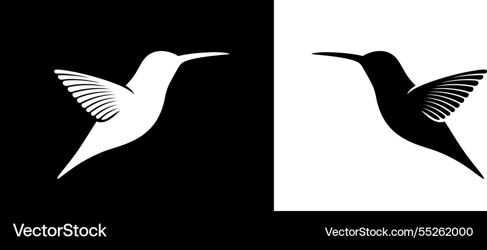 Hummingbird Royalty Free Vector Image - VectorStock