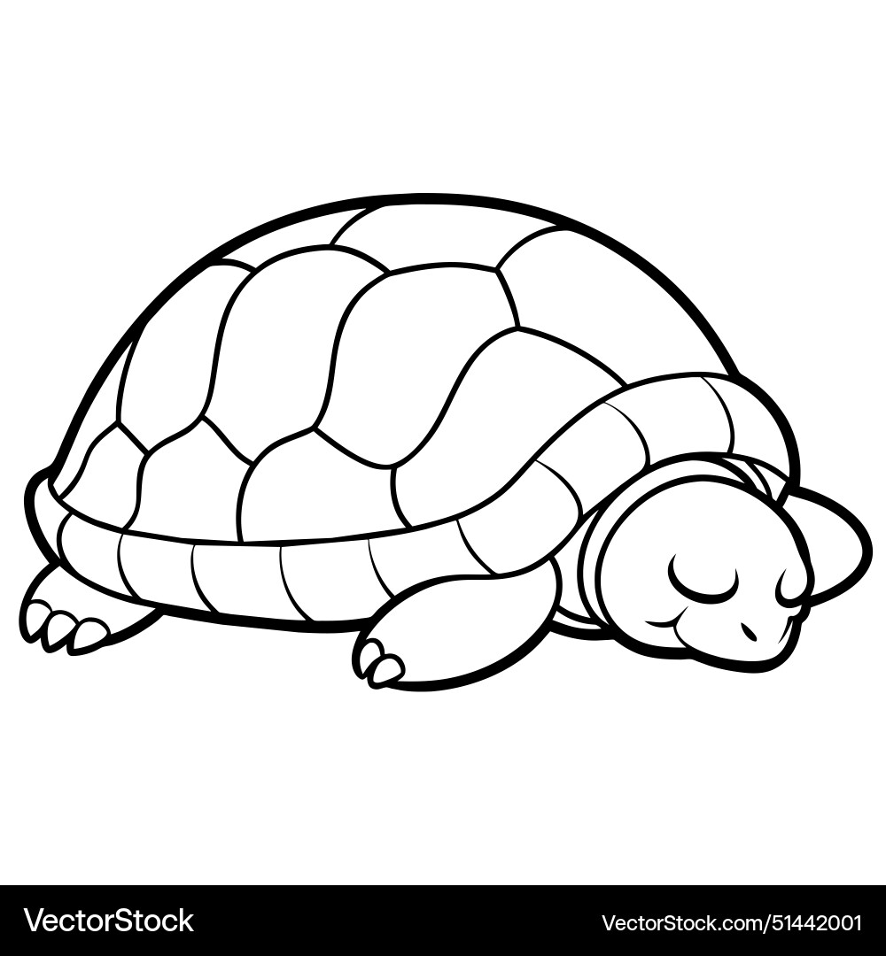 Angulate tortoise turtle sleeps icon Royalty Free Vector