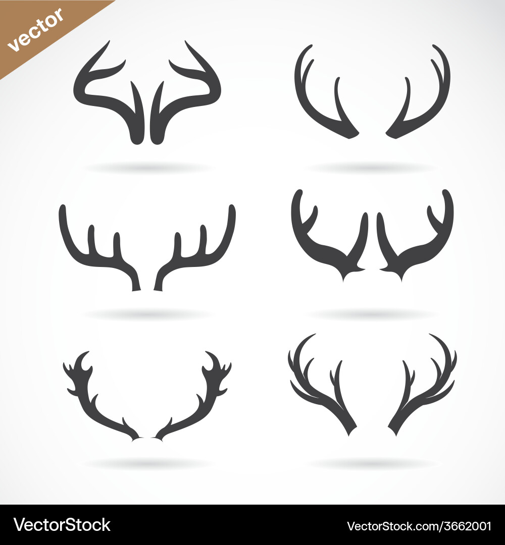 Geweih Icon Set Lizenzfreies Vektorbild - VectorStock