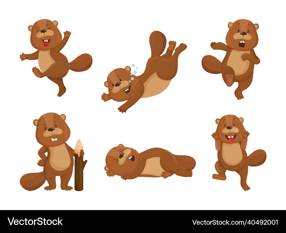 Set of with beaver character Royalty Free Vector Image