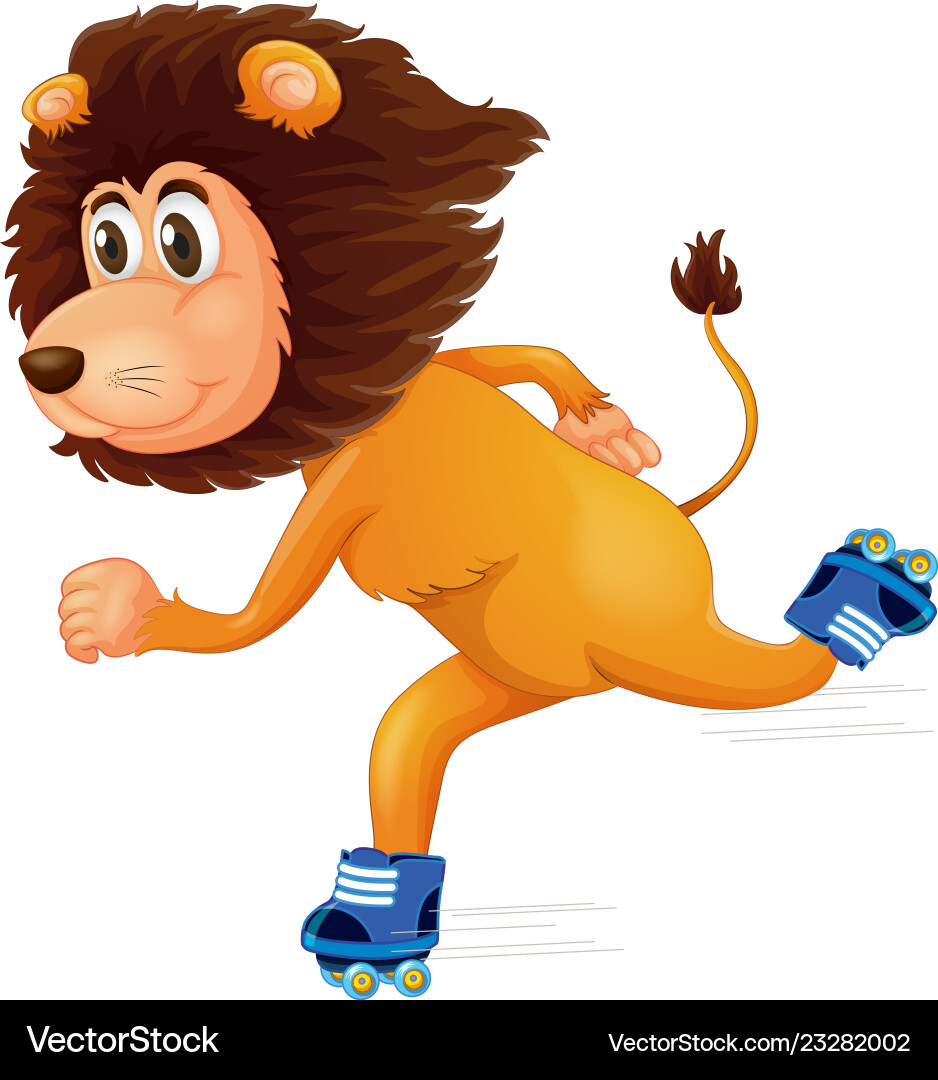 A lion ice skating (23282002) – Royalty-Free Vector | VectorStock