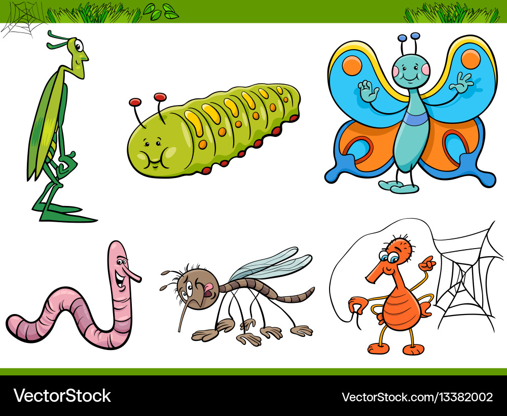 Cartoon insect characters set Royalty Free Vector Image