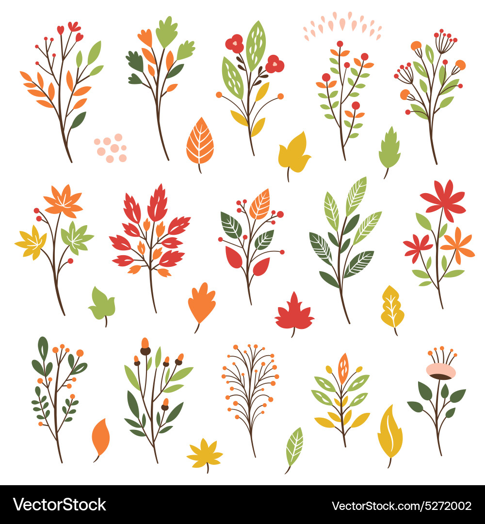 Colorful floral collection with leaves and flowers
