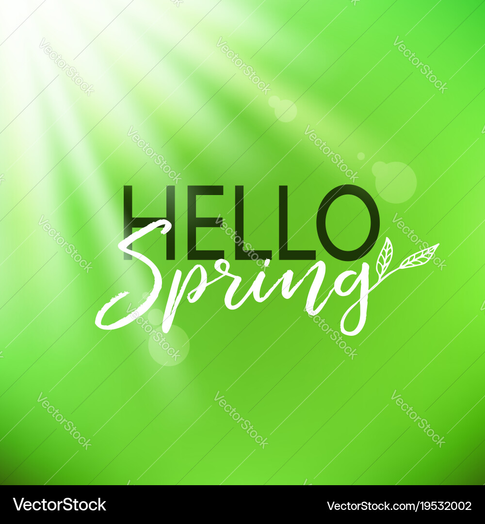 Hello spring card lettering Royalty Free Vector Image