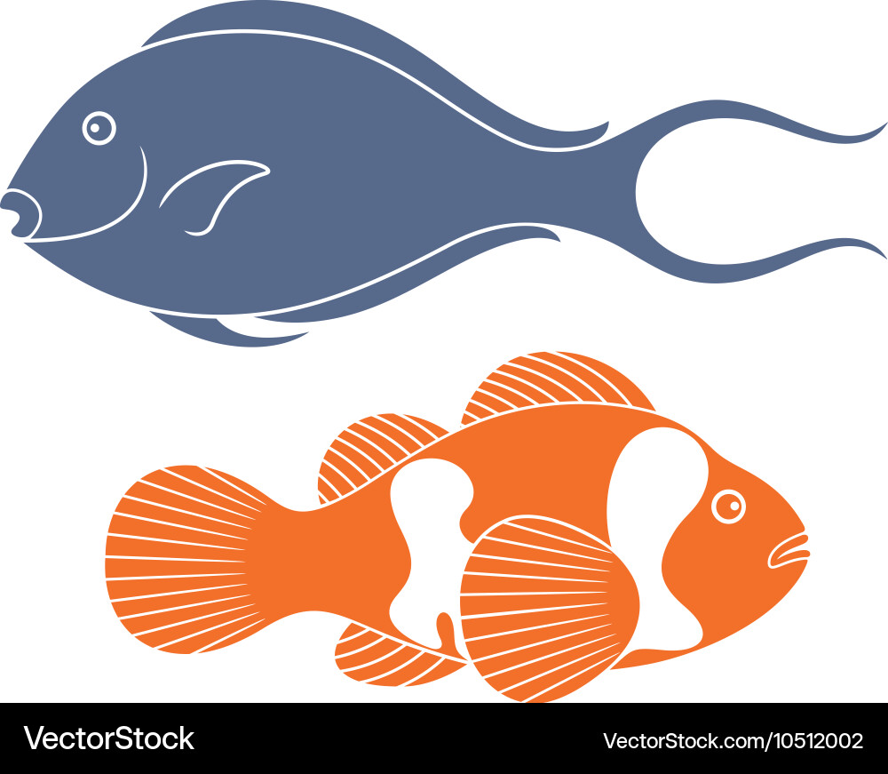 Reef fish Royalty Free Vector Image - VectorStock