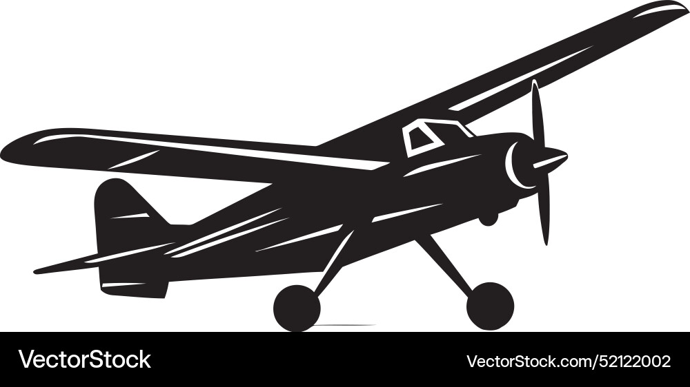 Shadow wings blackened aircraft Royalty Free Vector Image
