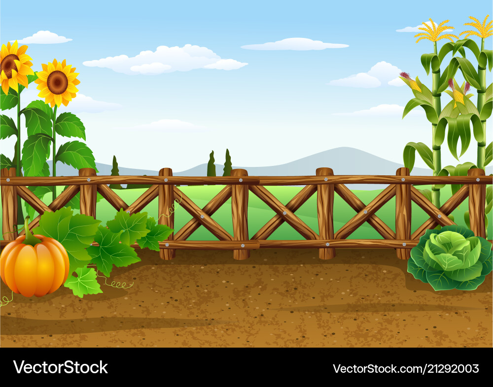 Farm Landscape with Crops Royalty Free Vector Image