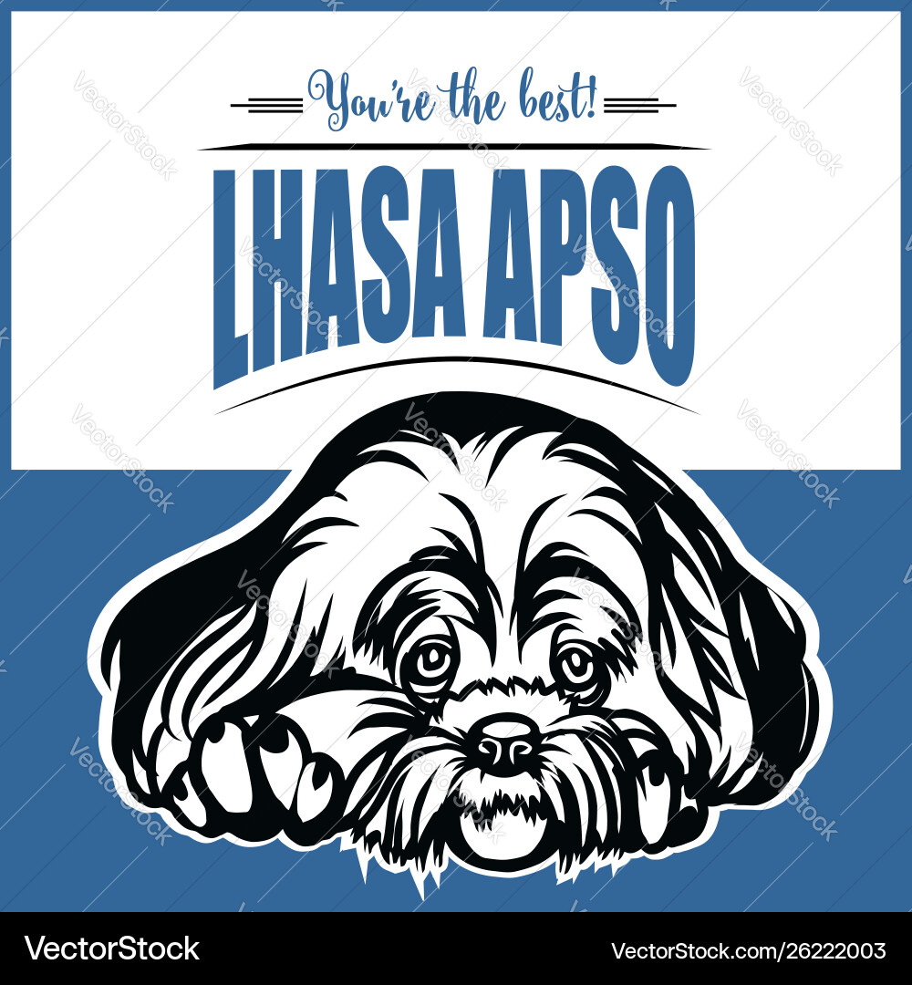 Lhasa apso - for t-shirt logo Royalty Free Vector Image