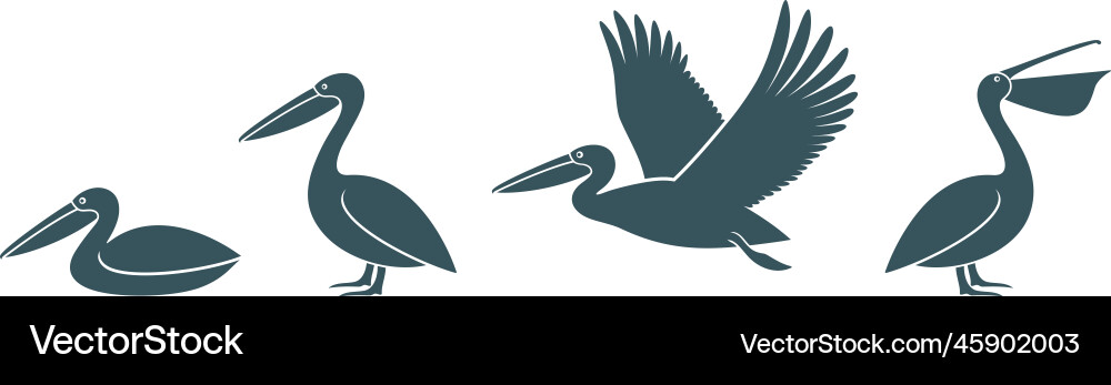 Pelican Royalty Free Vector Image - VectorStock