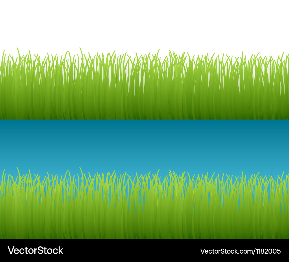 Grass background Royalty Free Vector Image - VectorStock