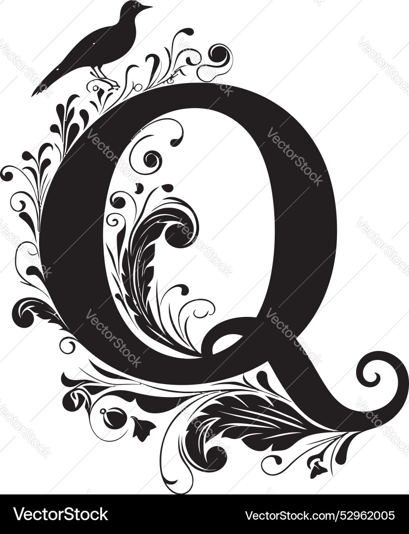 Quintessential accents unique font q decor Vector Image