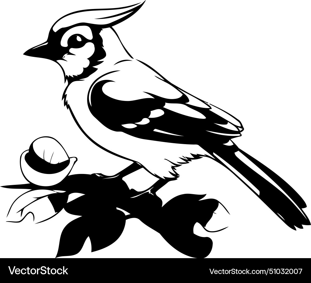 Blue jay bird sitting on a tree branch Royalty Free Vector