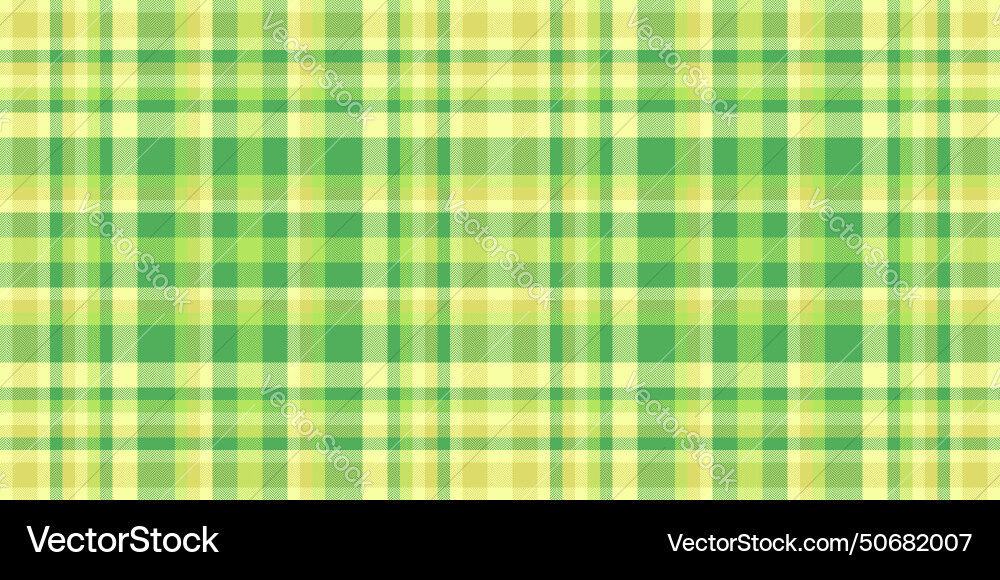 Latin fabric texture check cozy textile plaid Vector Image