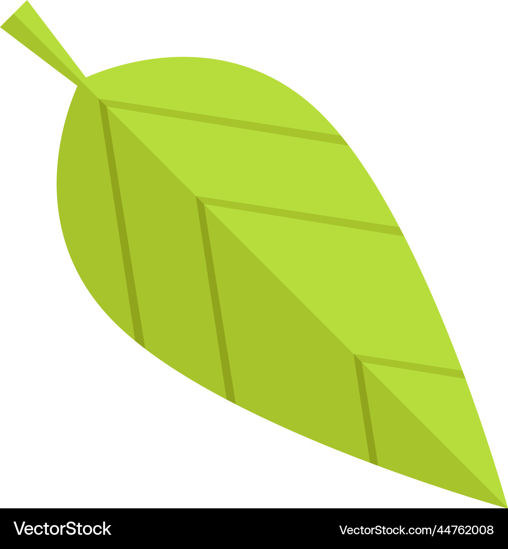 Green leaf icon natural spring plant symbol Vector Image
