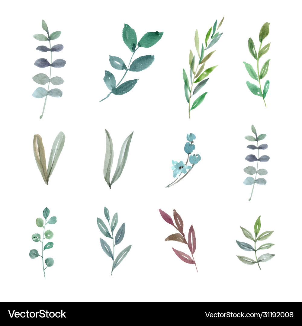 Free Watercolor Greenery Vector Images (over 810)