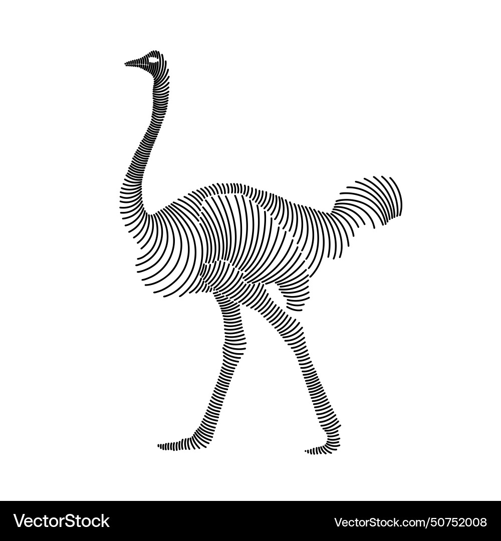 Simple line art of an ostrich 2 Royalty Free Vector Image