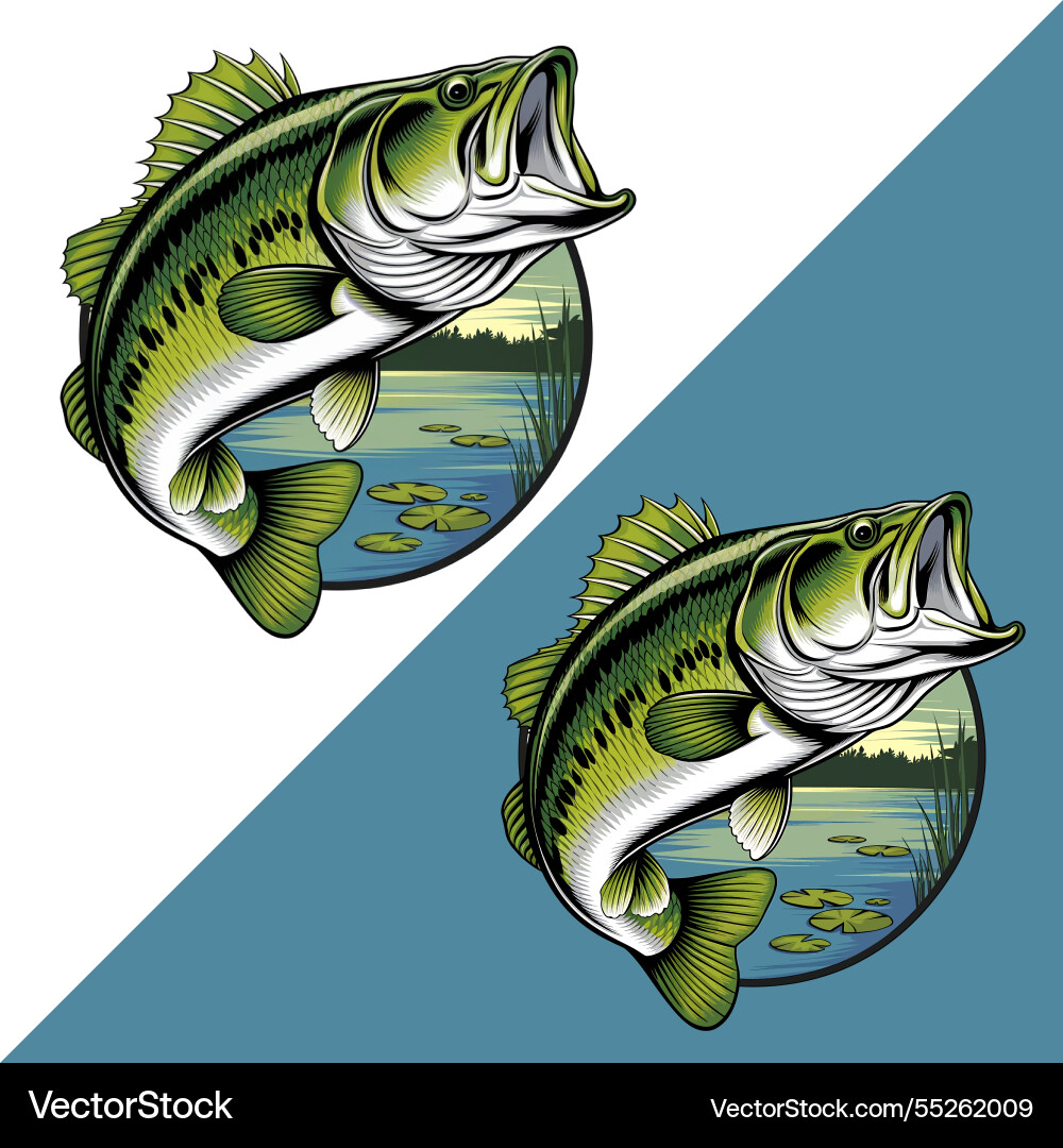 Bass fish Royalty Free Vector Image - VectorStock